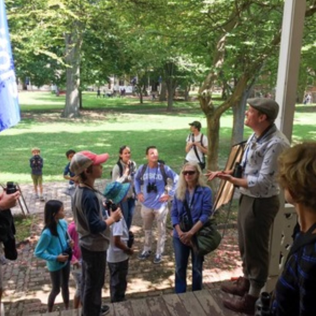 Las Aves de la Ciudad de Nueva York | NYC Bird Alliance